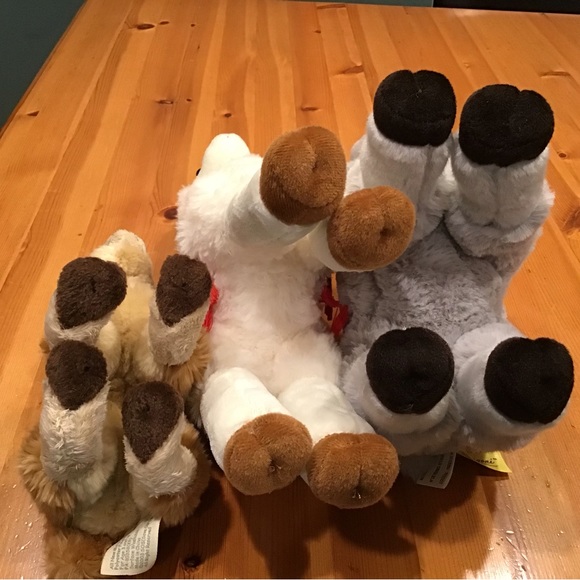 Toys | Alpaca Family Plush Lot Of 3 Aurora Miyoni Save Our Space | Poshmark